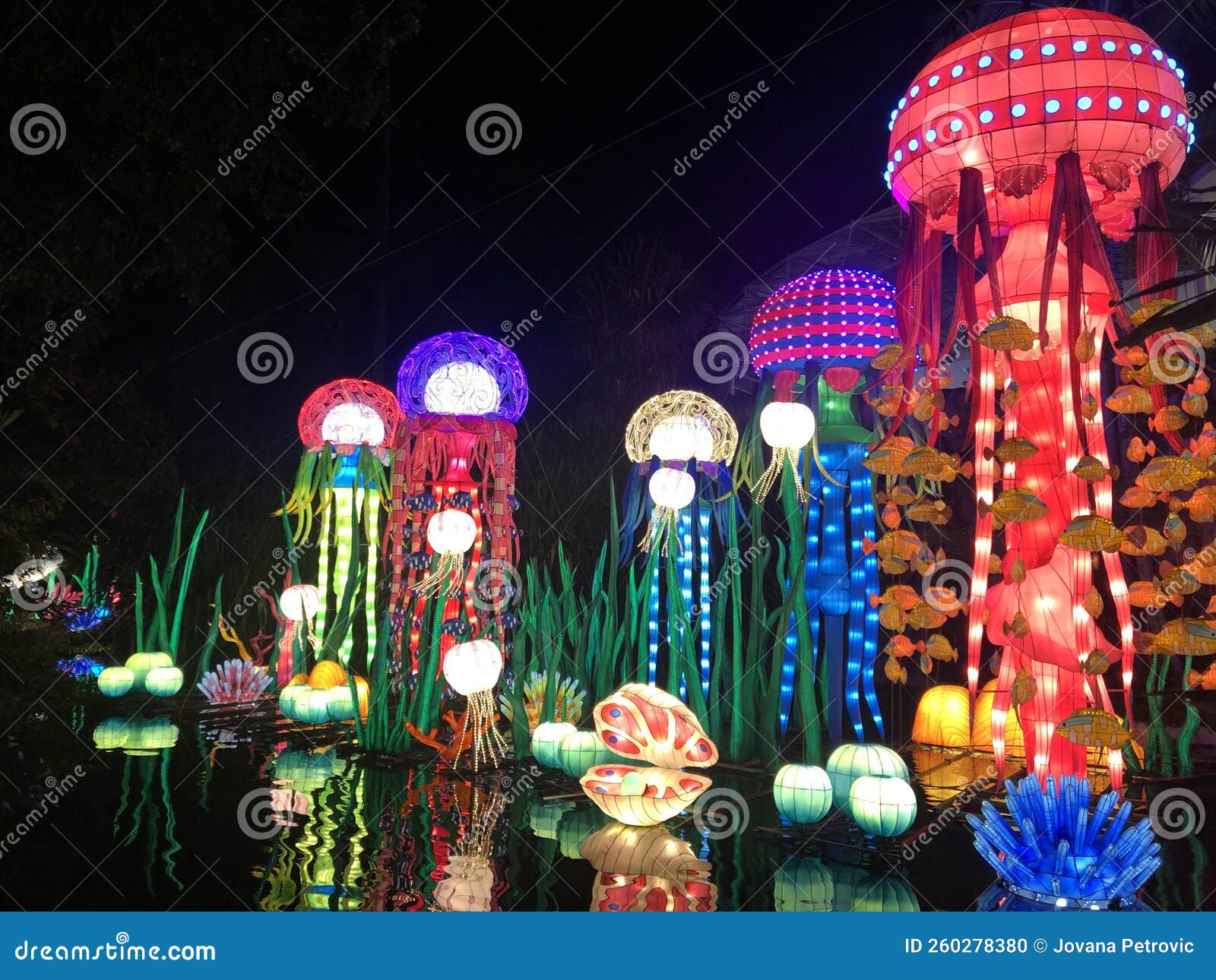 Sea Light Show stock photo. Image of landscape, light - 260278380
