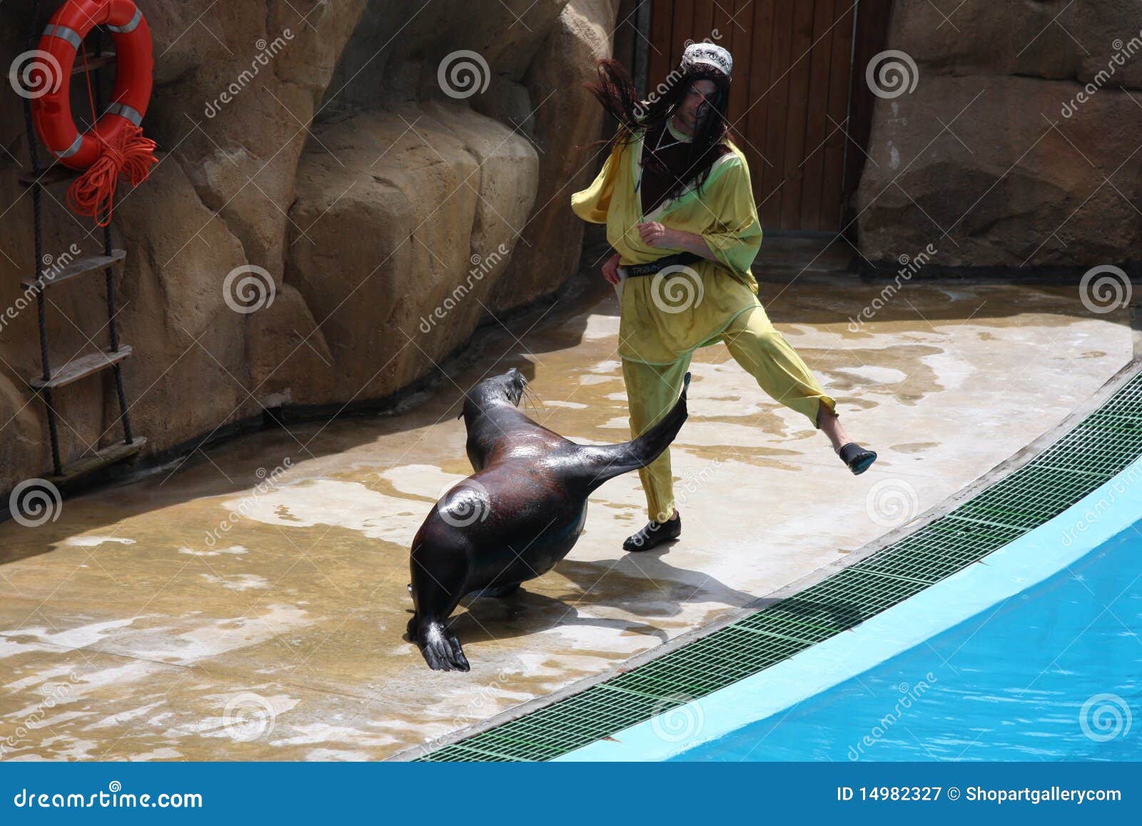 Sea Lion Performing at Zoomarine21-EDITORIAL USE Editorial Photography ...