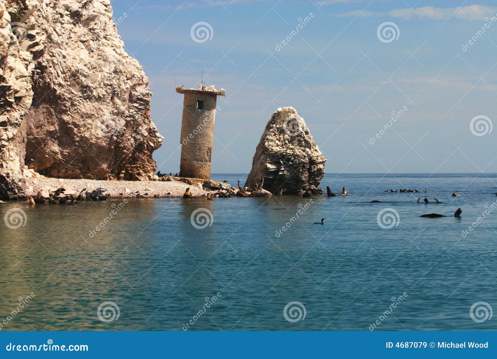 426 Lion Rookery Stock Photos - Free & Royalty-Free Stock Photos from ...