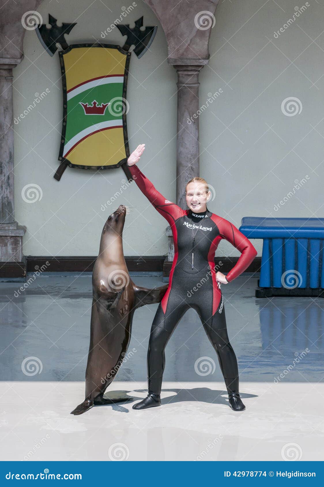 Sea lion and trainer editorial stock image. Image of northern - 42978774