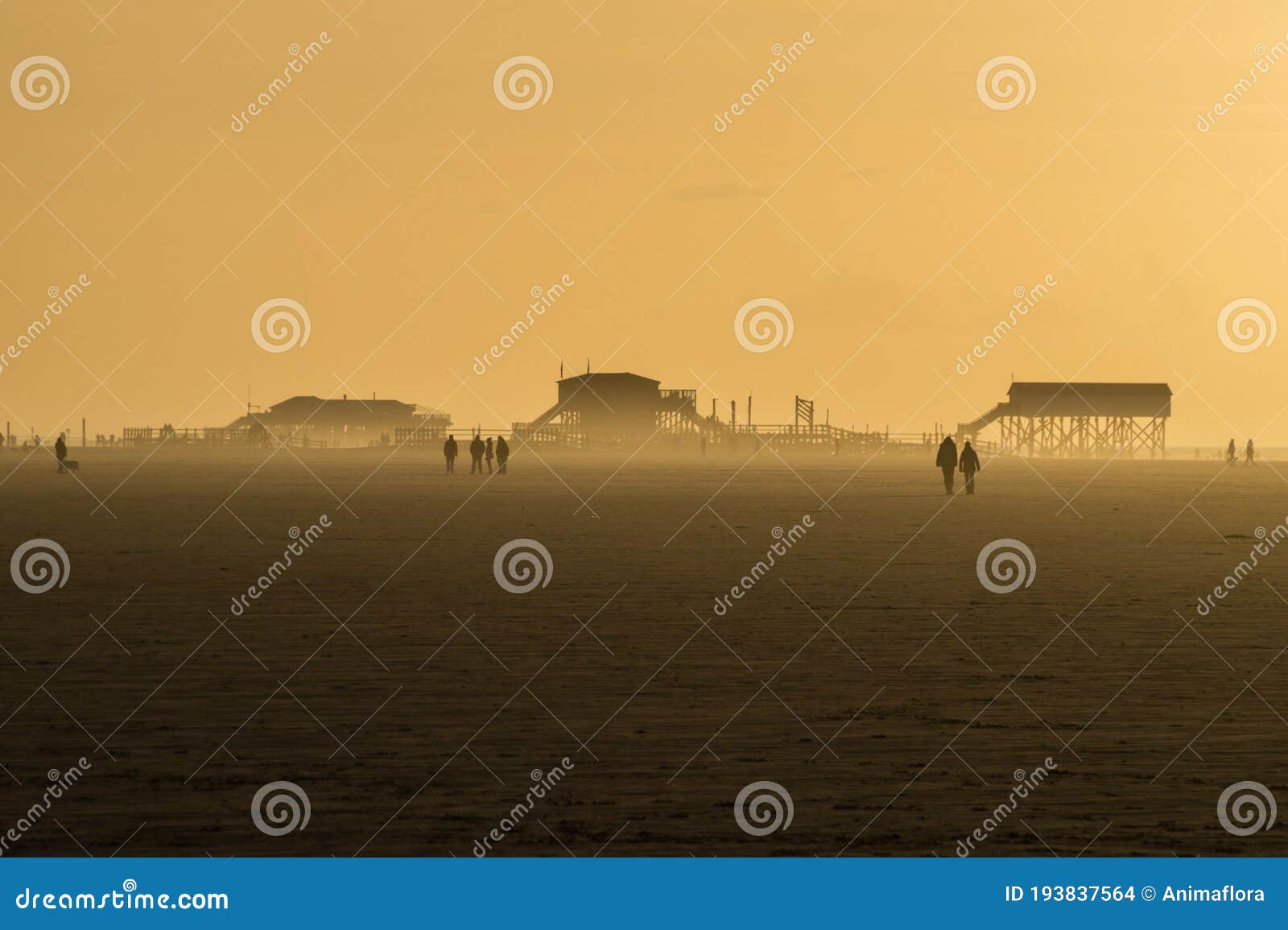 Sea mist at the beach stock photo. Image of mist, north - 193837564
