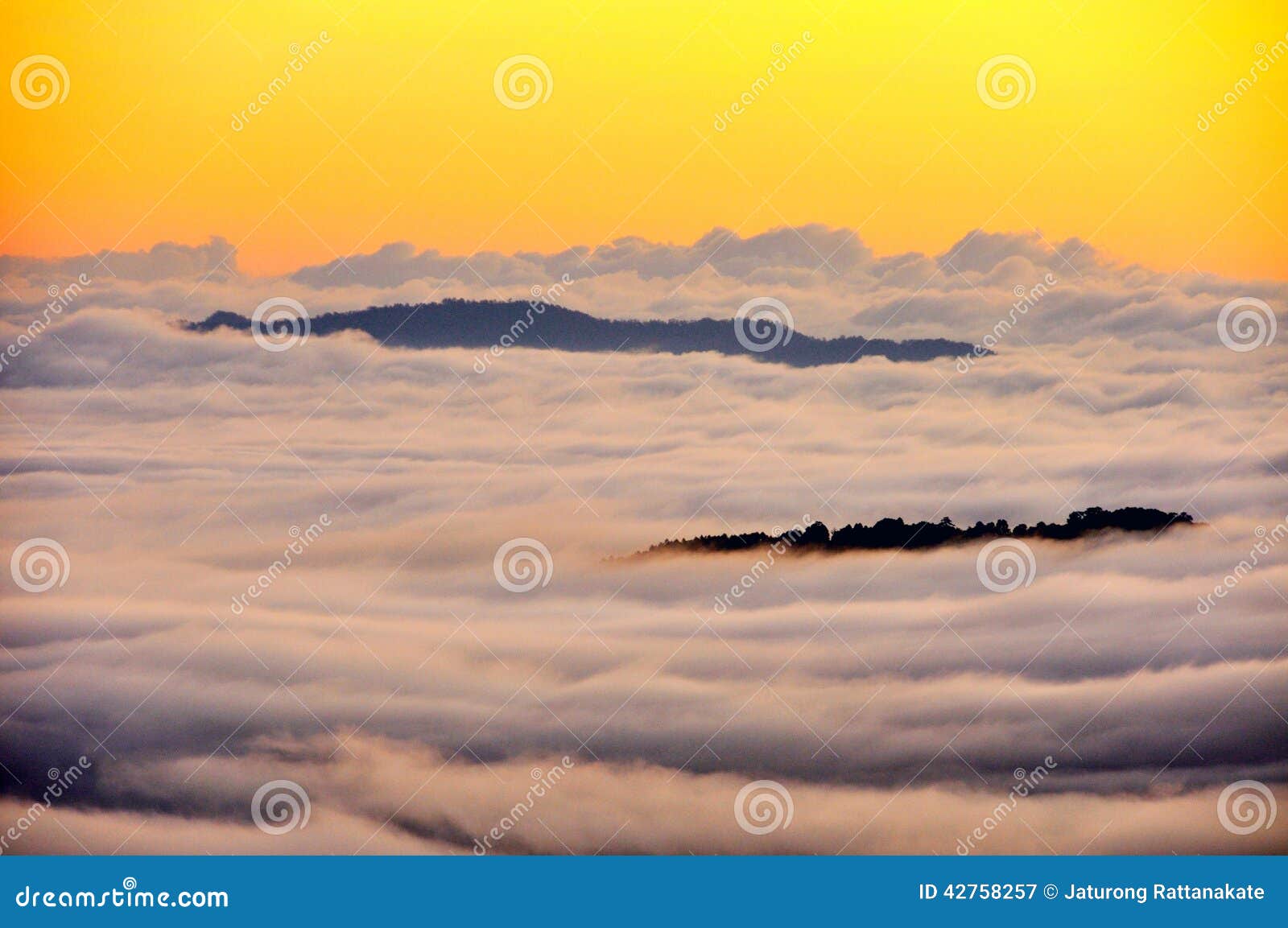 Sea mist stock image. Image of cloud, nature, mist - 42758257