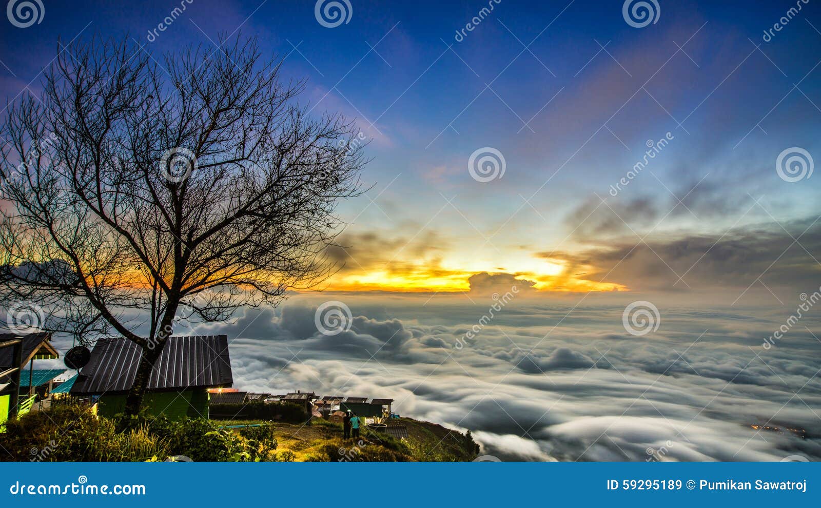Sea of Mist in the Thailand Stock Image - Image of lettuces, mountain ...