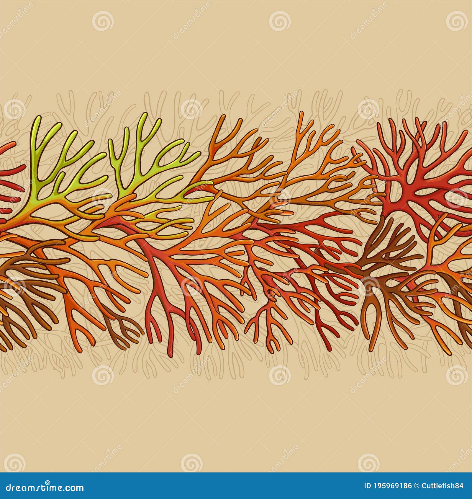 Sea moss pattern stock vector. Illustration of natural - 195969186