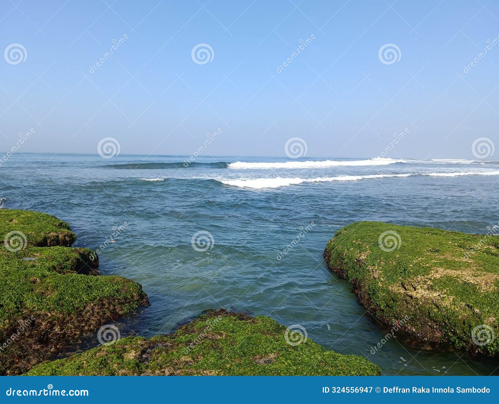 Sea and mossy rocks stock image. Image of mossy, open - 324556947