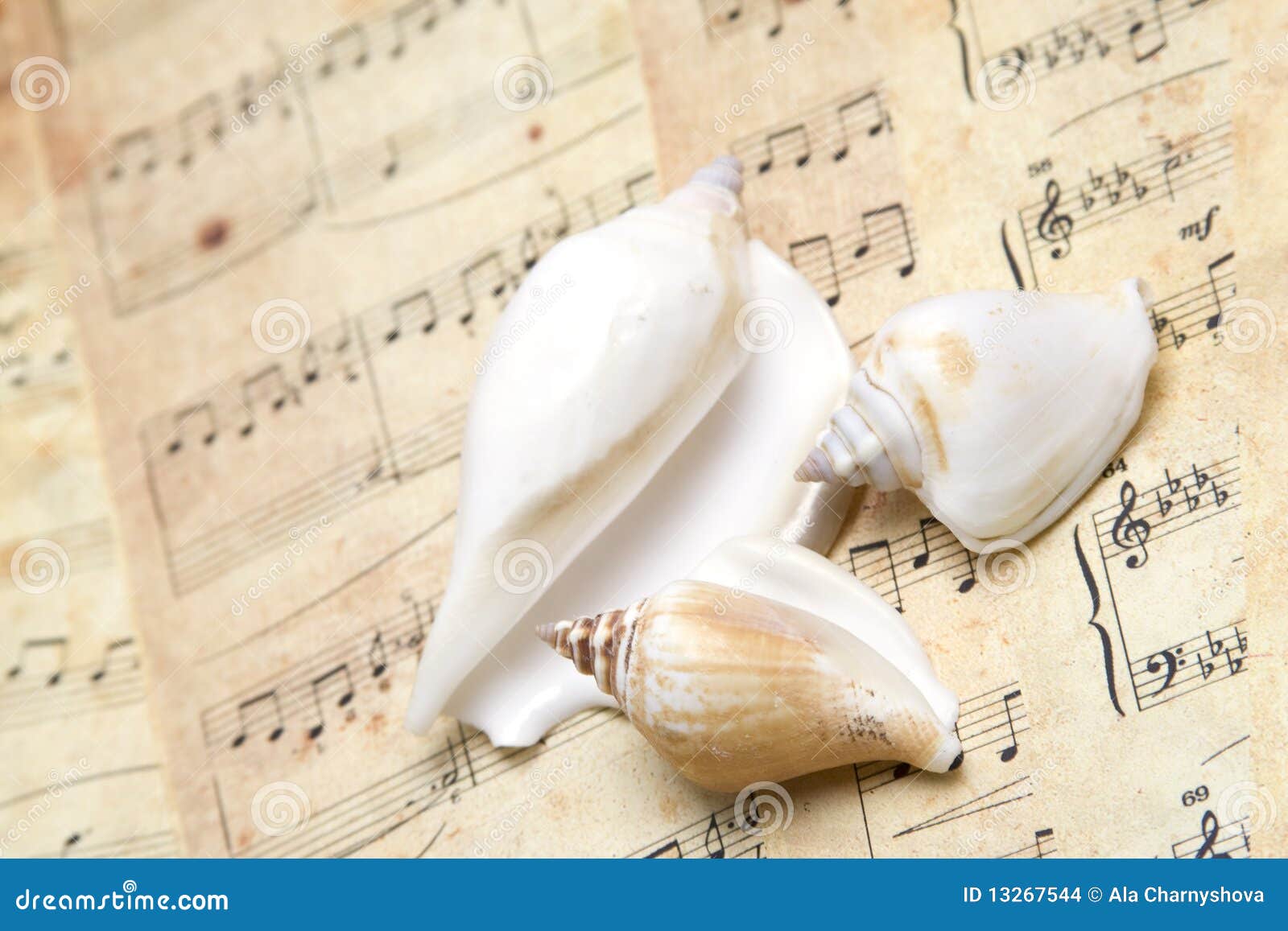 Sea Music stock photo. Image of shape, paper, musical - 13267544