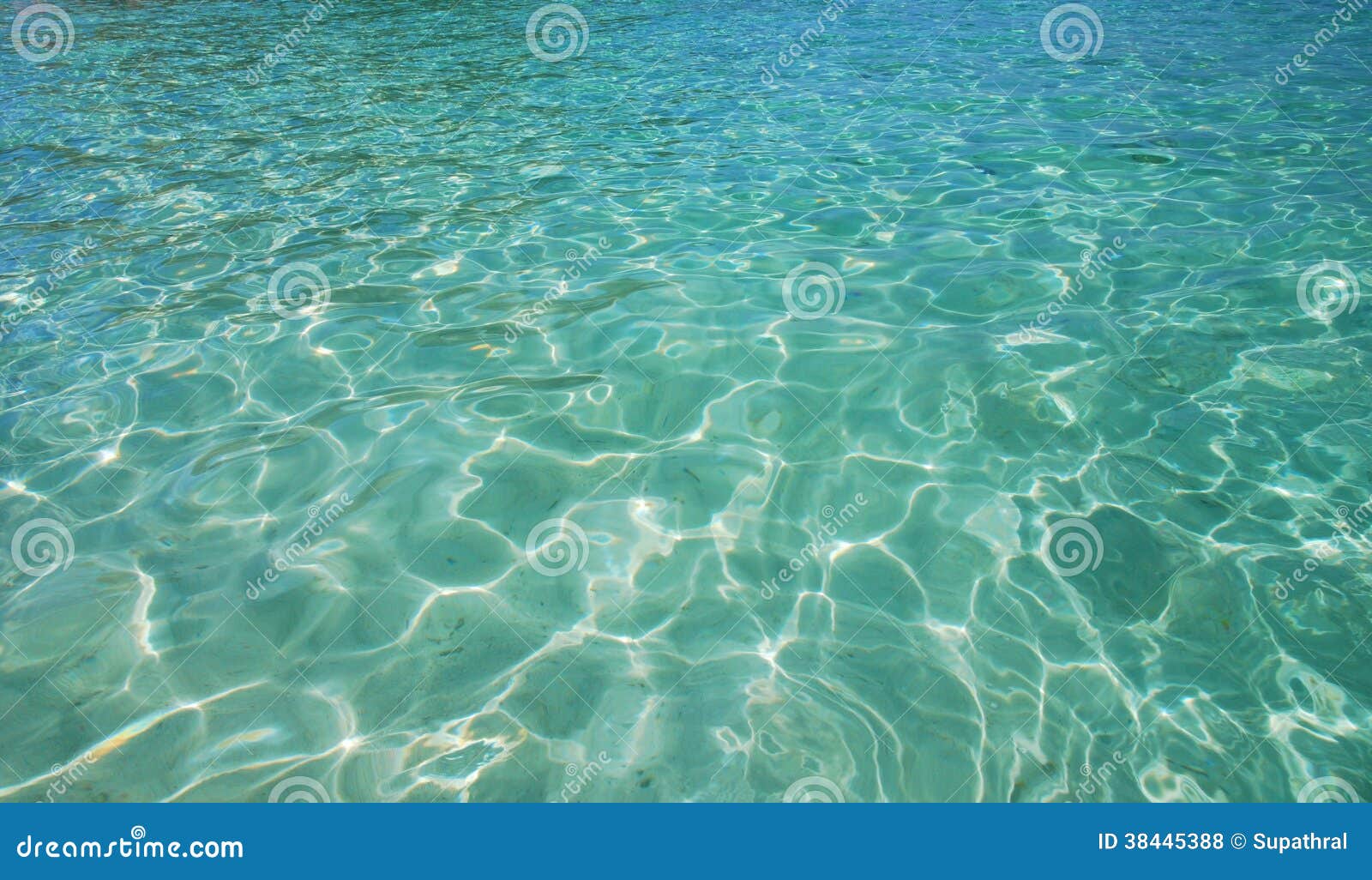 Sea natural backgrounds stock photo. Image of thale, creativity - 38445388