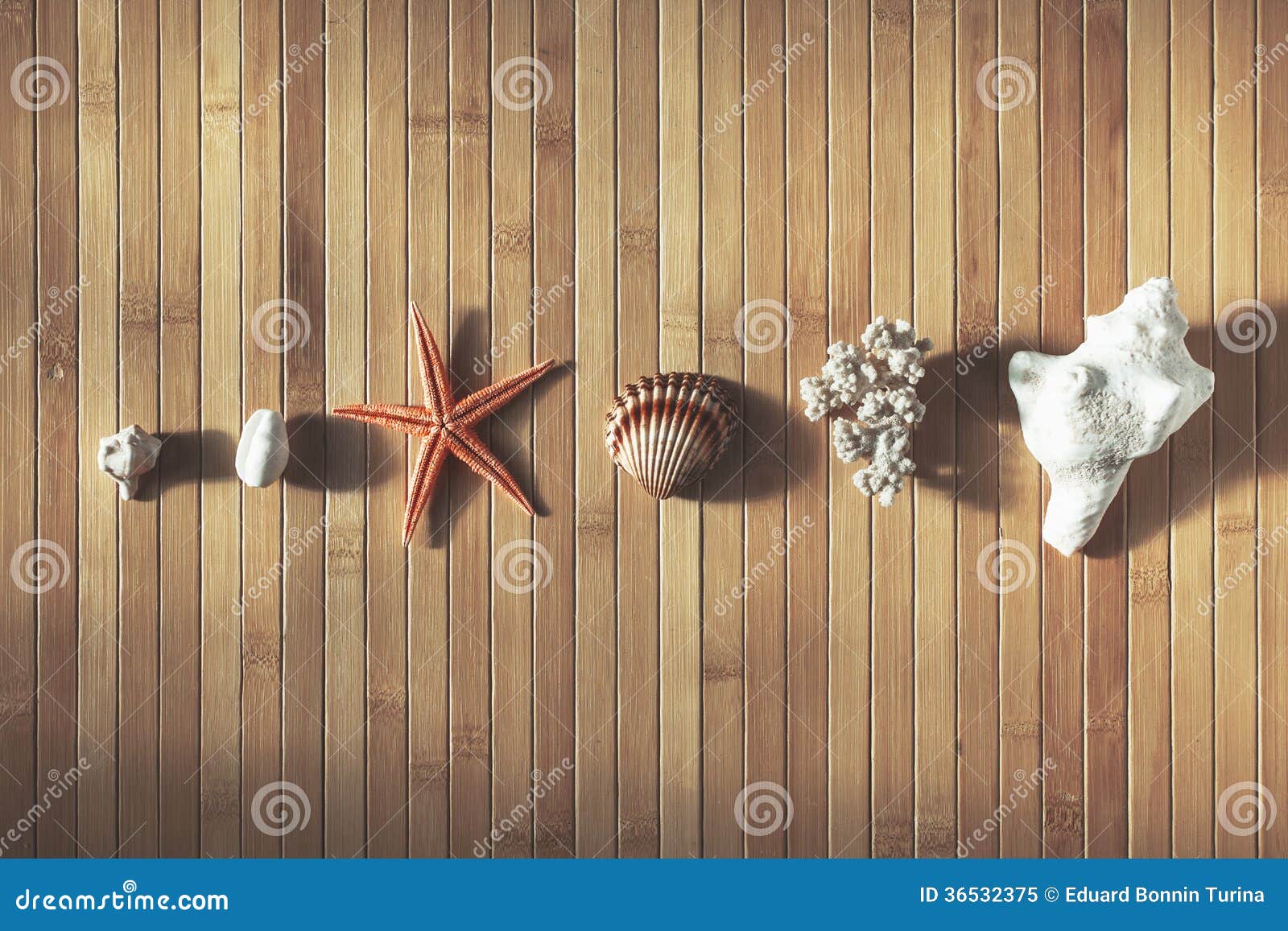 Sea Objects on Wood Background. Stock Image - Image of aquatic, order ...