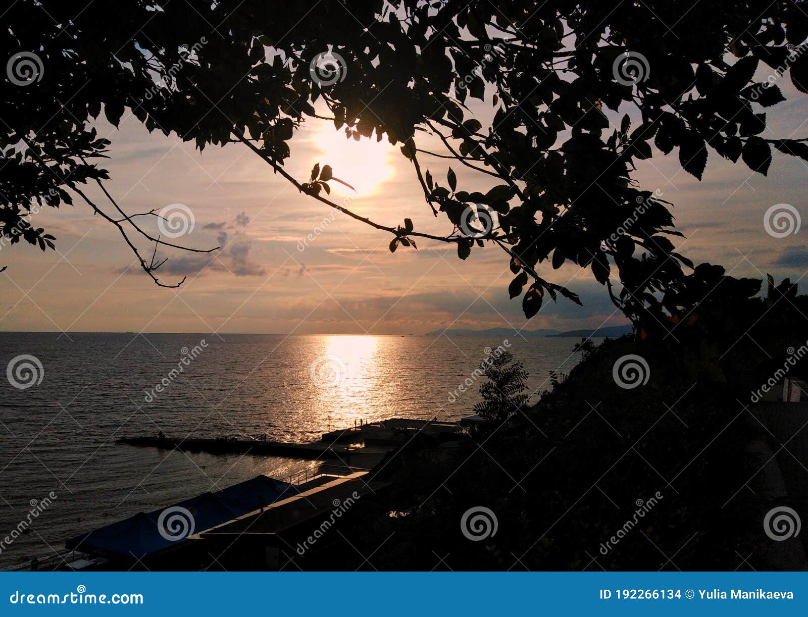 Sea. Ocean. Leaves. Trees stock photo. Image of crimea - 192266134