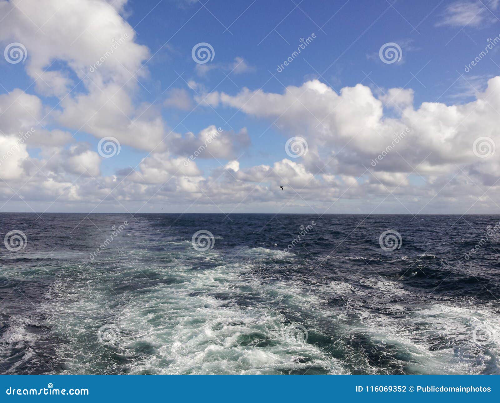 Sea, Ocean, Sky, Horizon Picture. Image: 116069352