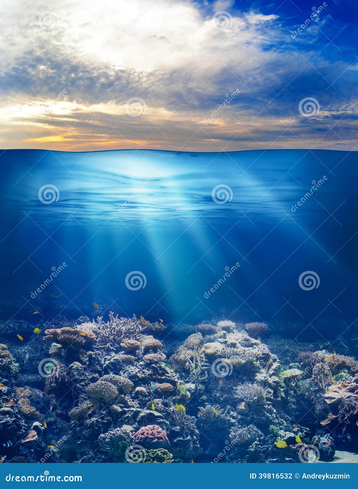 Sea or Ocean Underwater with Sunset Sky Stock Photo - Image of marine ...