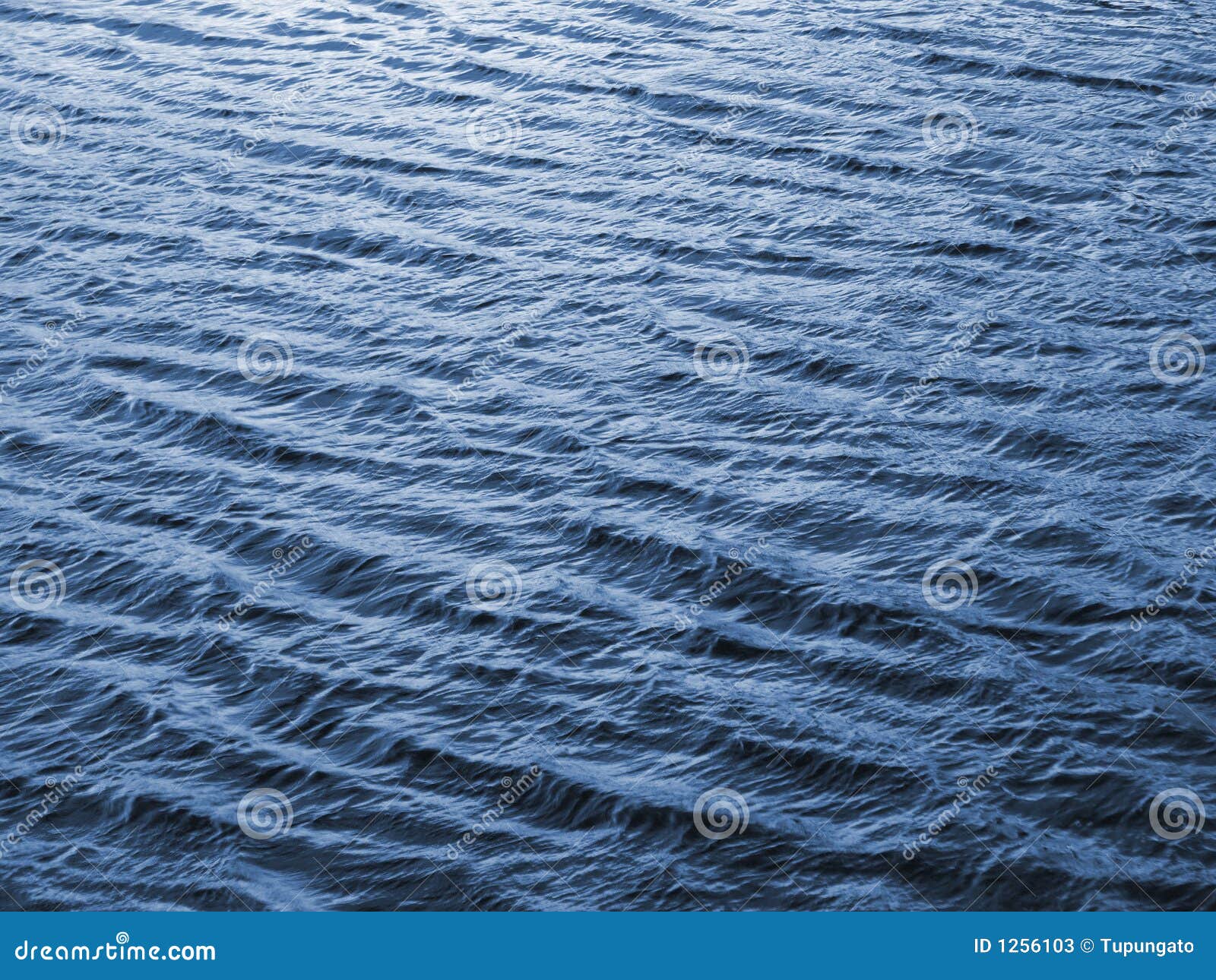 Sea or ocean water surface stock image. Image of water - 1256103