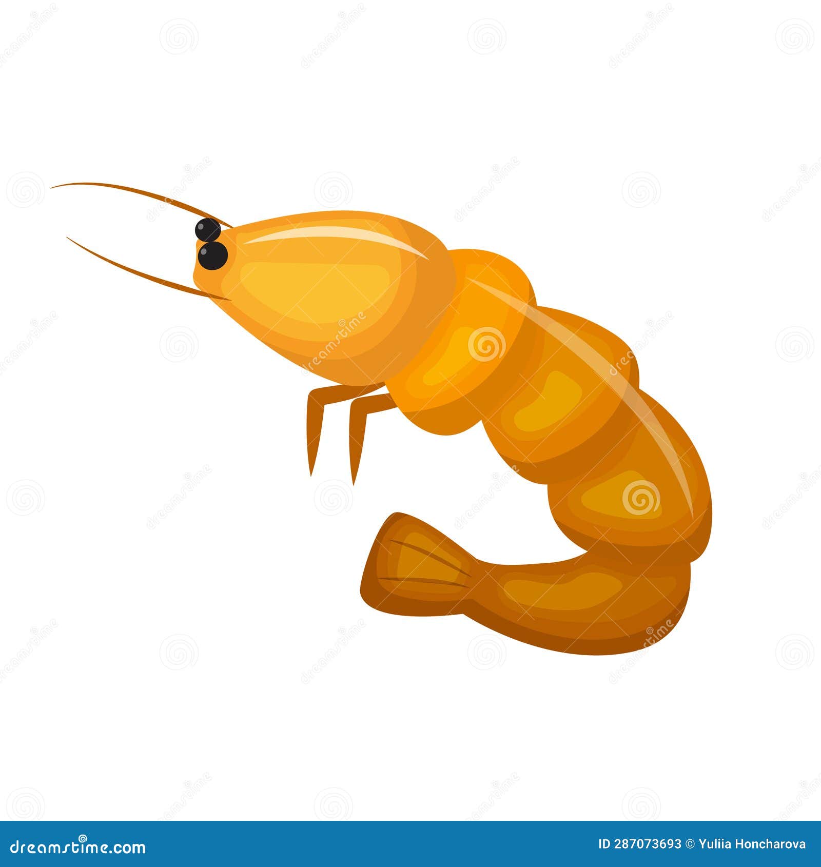 Sea Orange Shrimp Isolated on White Background. Stock Vector ...