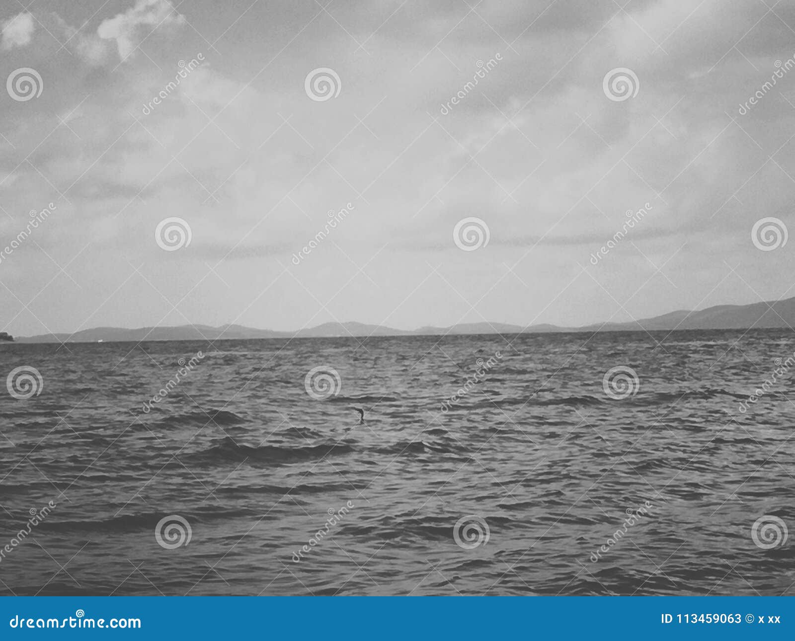 Sea stock image. Image of beautiful, peace, life - 113459063