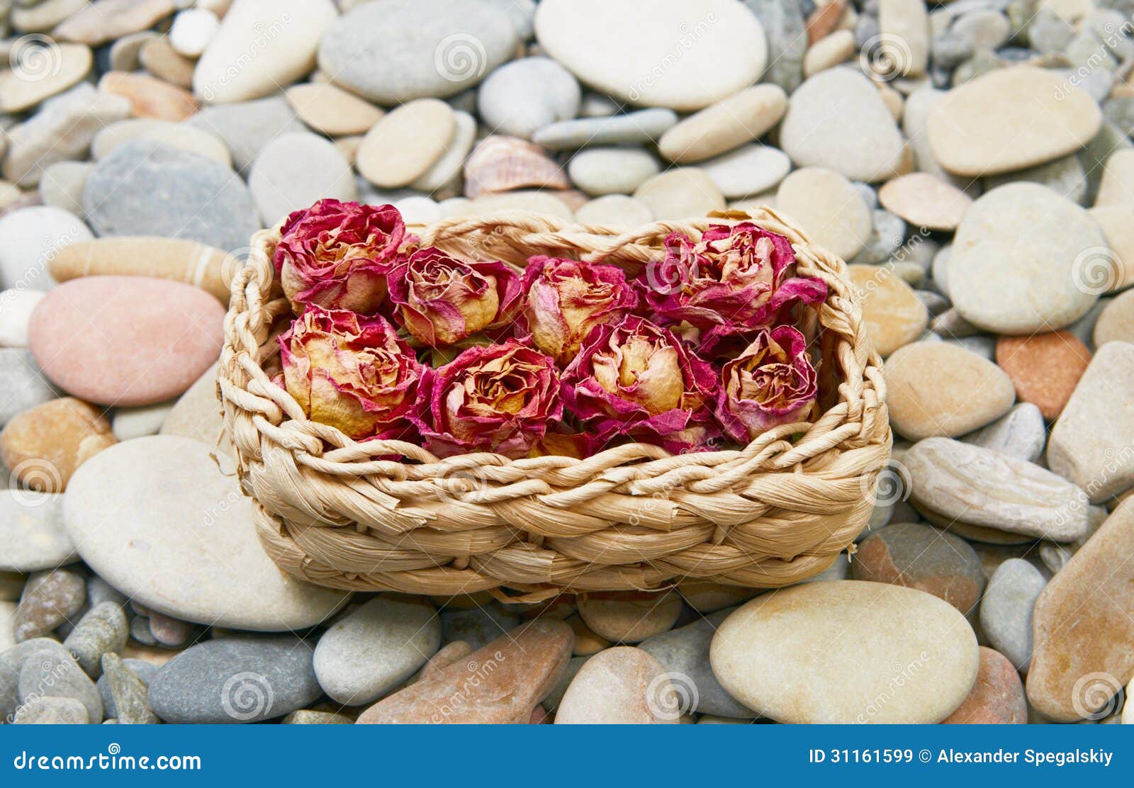 Sea pebble and roses stock image. Image of background - 31161599