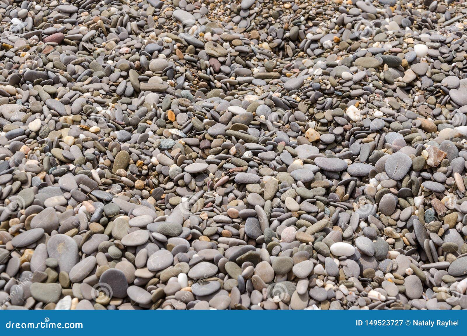 Dry sea pebbles on beach stock image. Image of nodule - 149523727