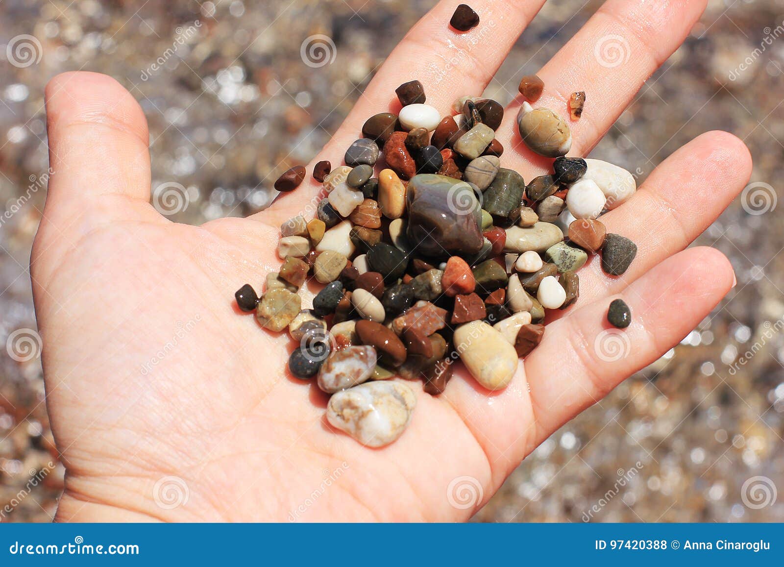 Sea Pebble Stones in Open Hand Stock Photo - Image of summer, female ...
