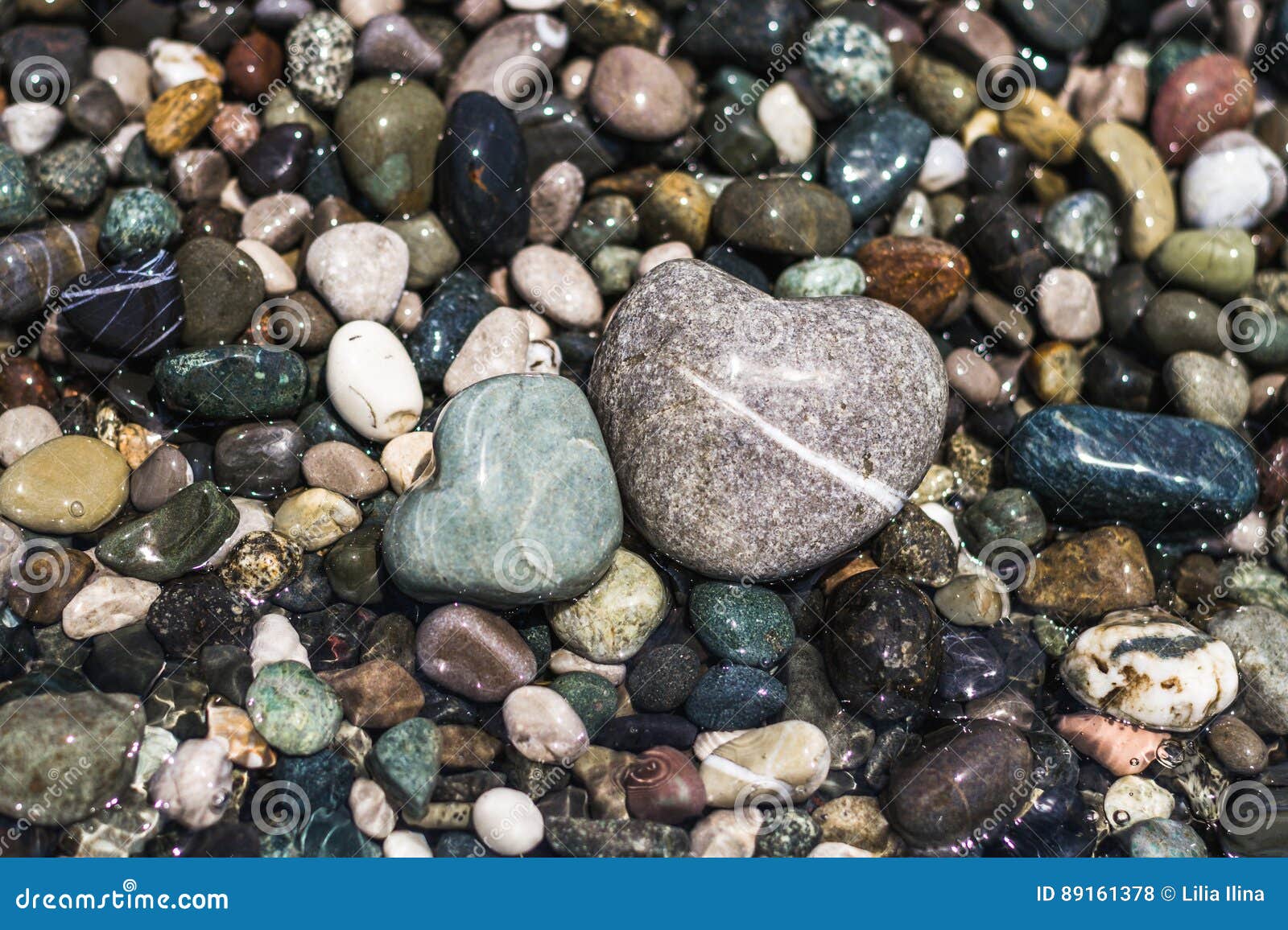 Sea Pebbles of Different Sizes are Washed with Water. Stock Photo ...