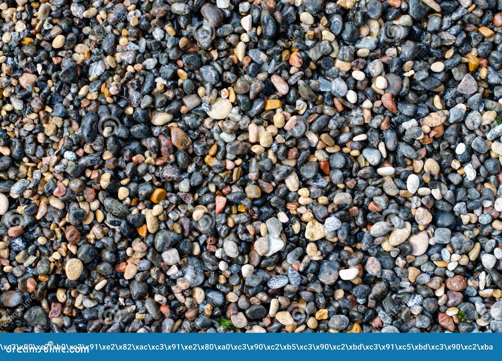 Sea Pebbles. Pebble Beach. Decorative Sea Stones. the Structure of the ...