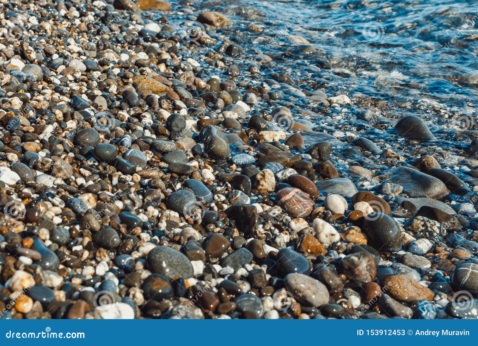 Sea pebbles 6 stock image. Image of white, smooth, shore - 153912453