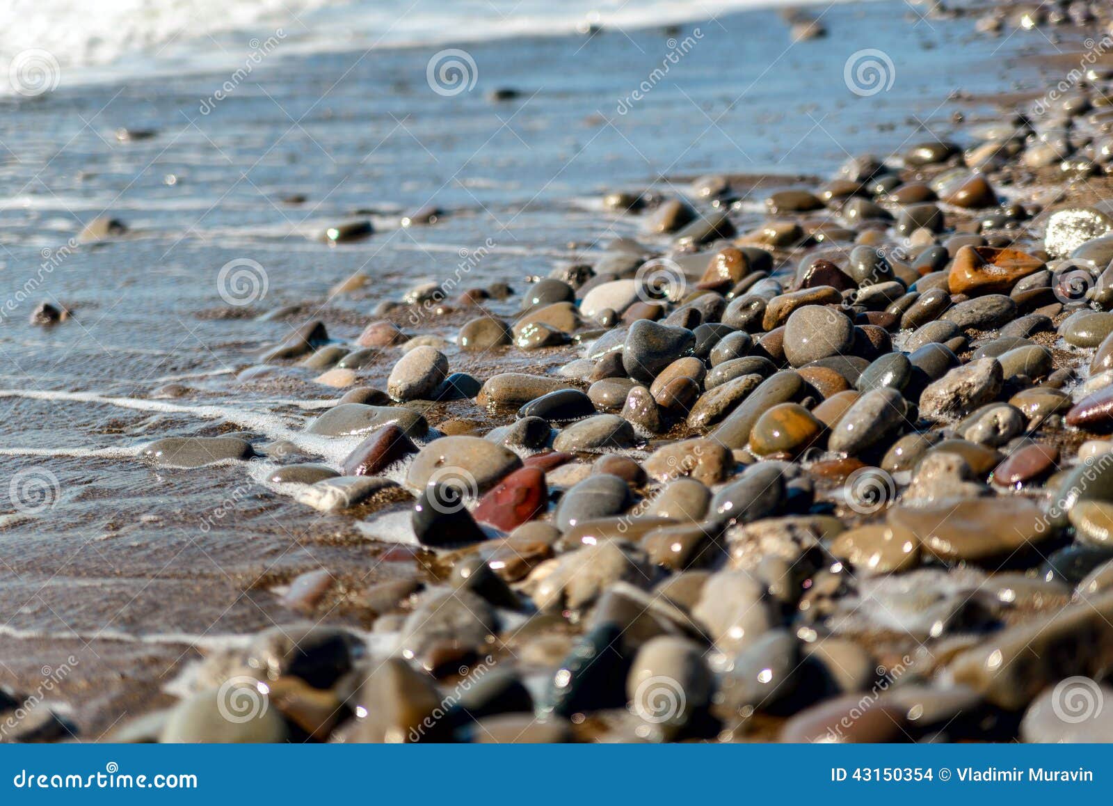 Sea pebbles washed by wave stock photo. Image of blue - 43150354