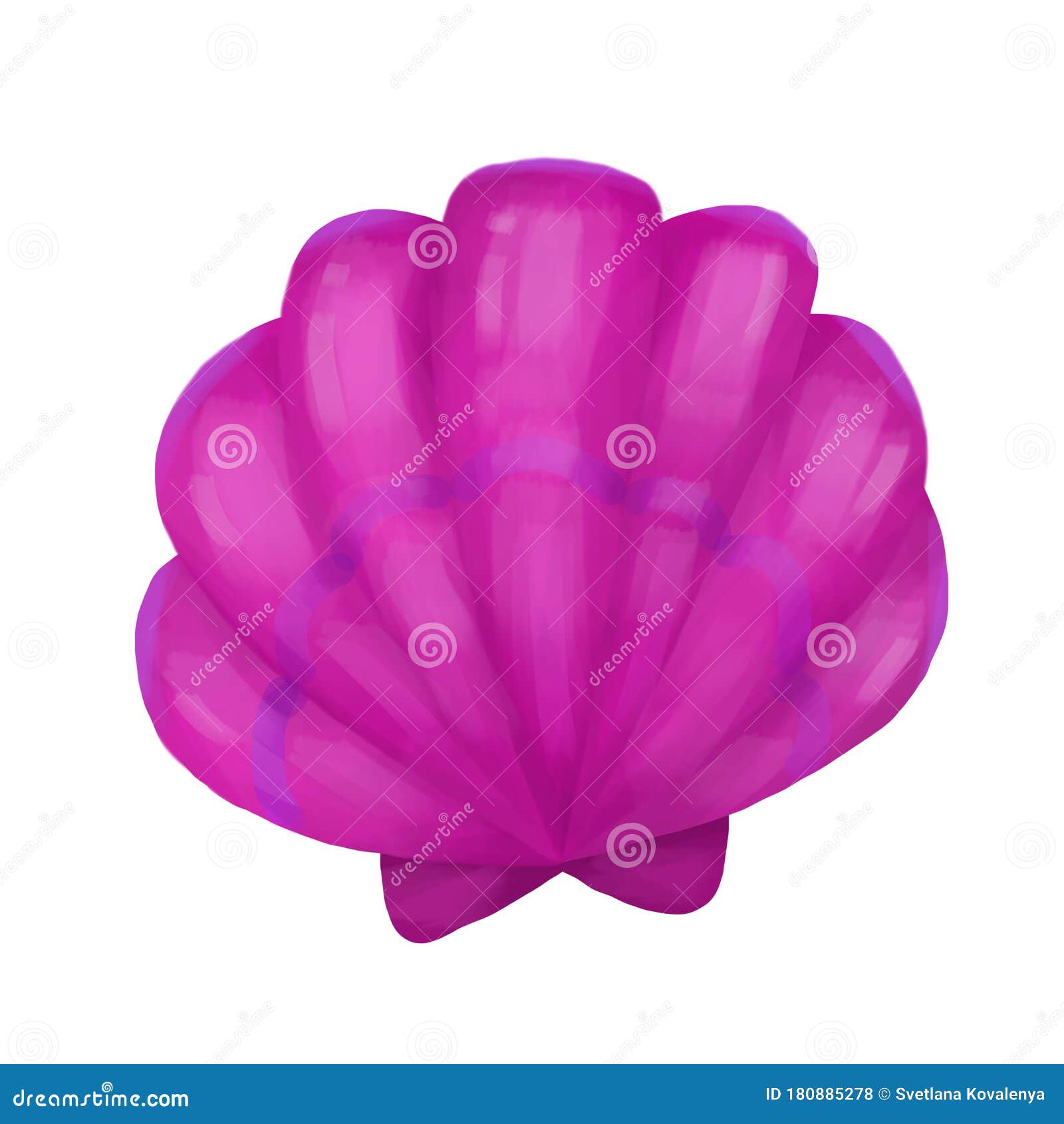 Sea pink shell stock photo. Image of shell, deep, wallpaper - 180885278