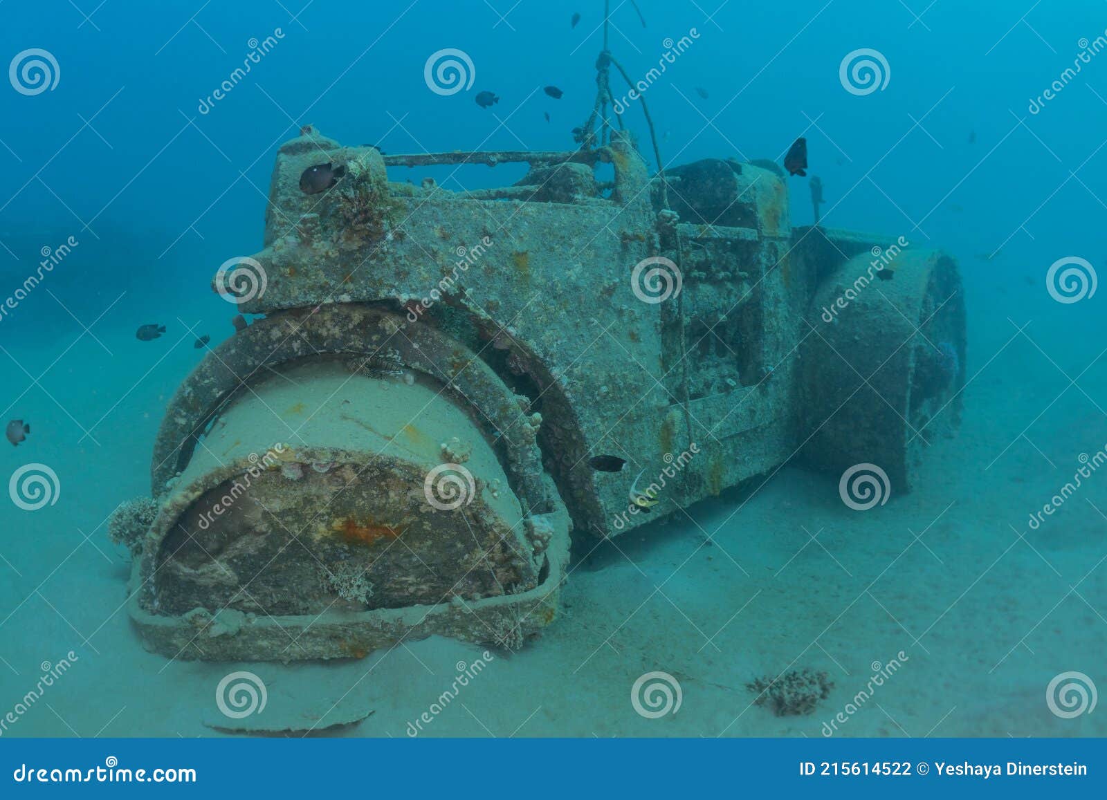 Sea Pollution in Metals Garbage in the Red Sea Stock Photo - Image of ...