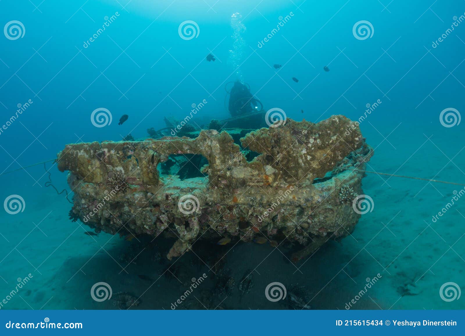Sea Pollution in Metals Garbage in the Red Sea Stock Photo - Image of ...