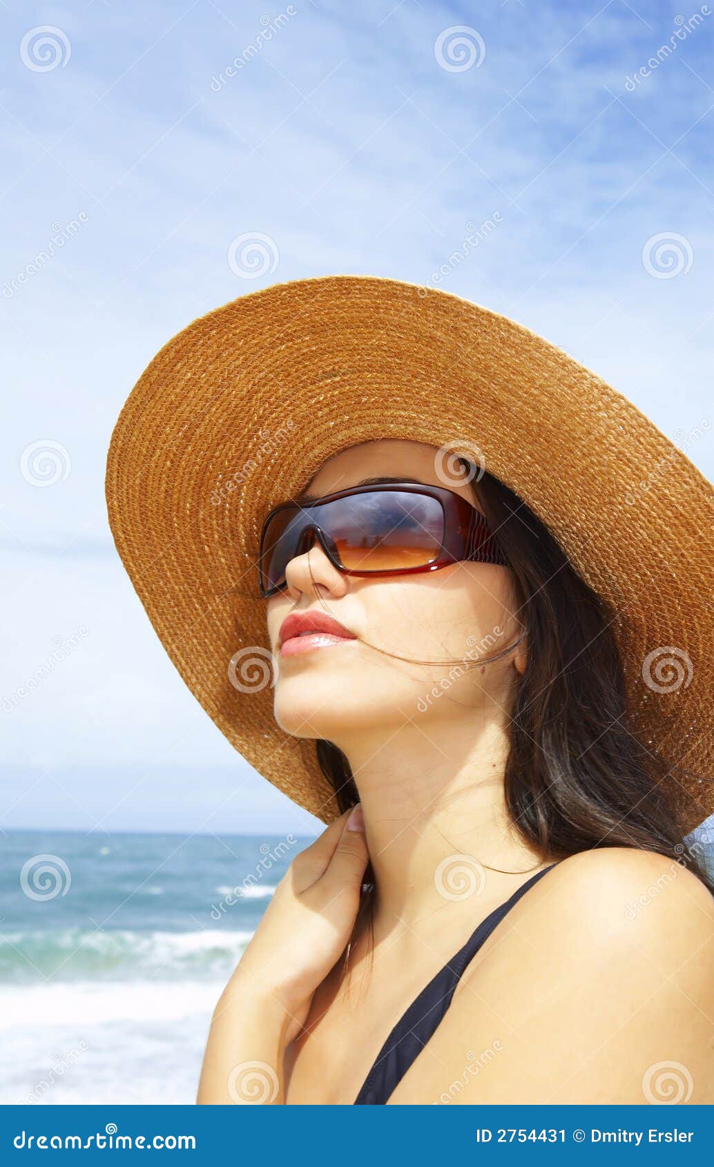 Sea portrait stock image. Image of equator, coast, bikini - 2754431