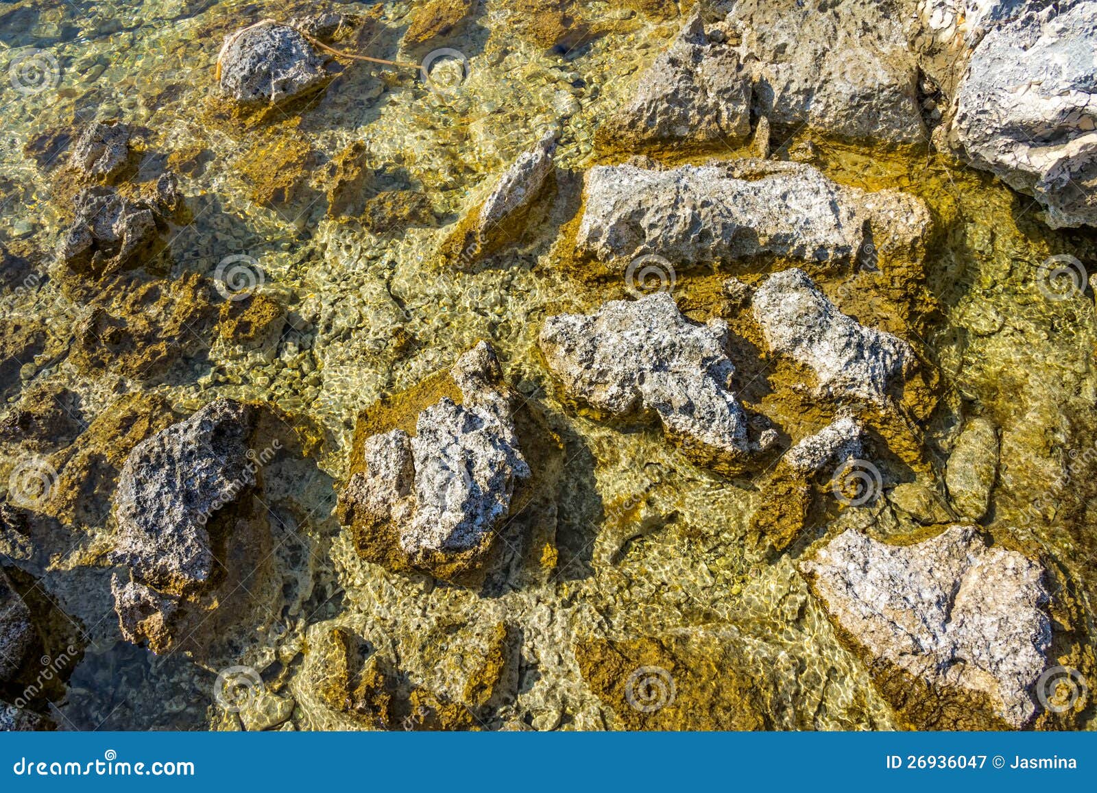 Sea puddle stock image. Image of rock, serene, shoreline - 26936047