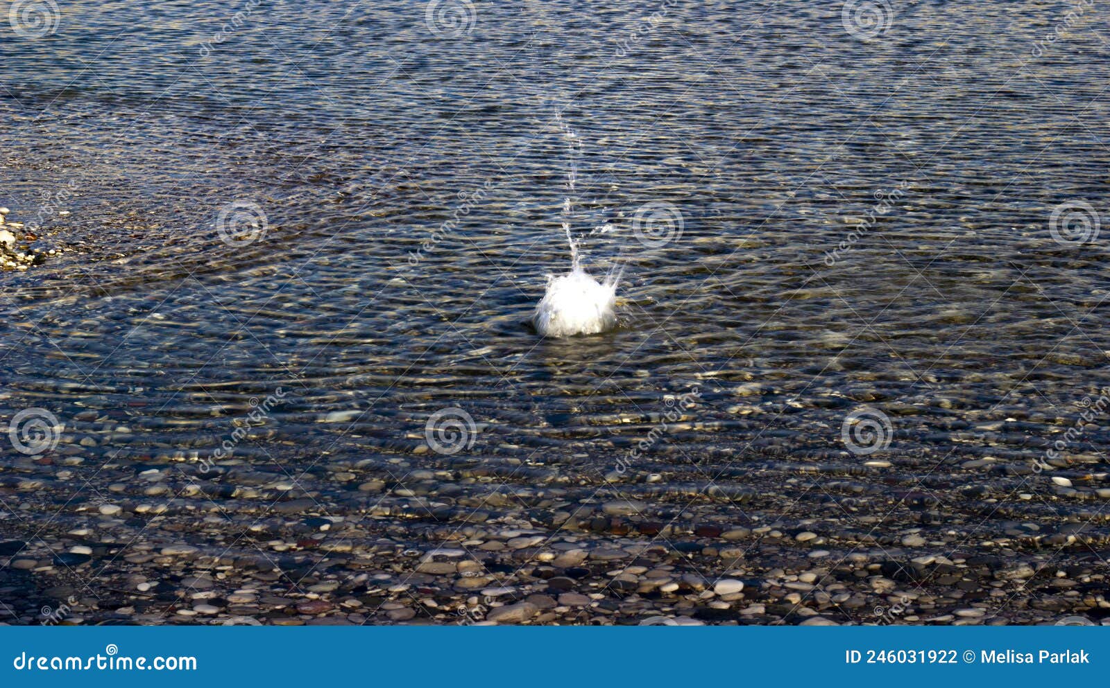 Sea Ripple or Shiny Pebble Reflection Stock Photo - Image of beach ...