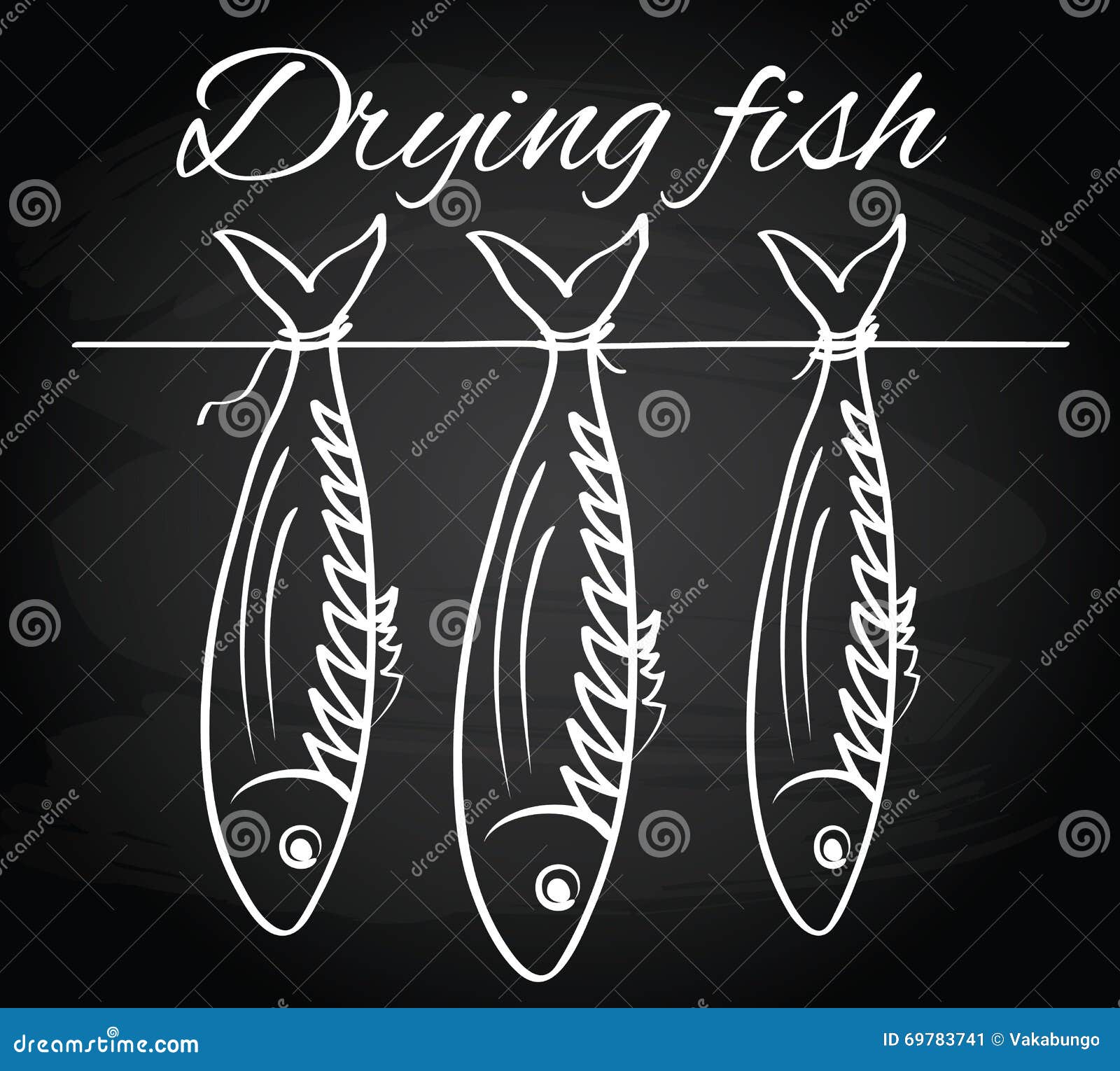 Sea Roach. Stockfish. Drying Fish. Seafood Stock Vector - Illustration ...