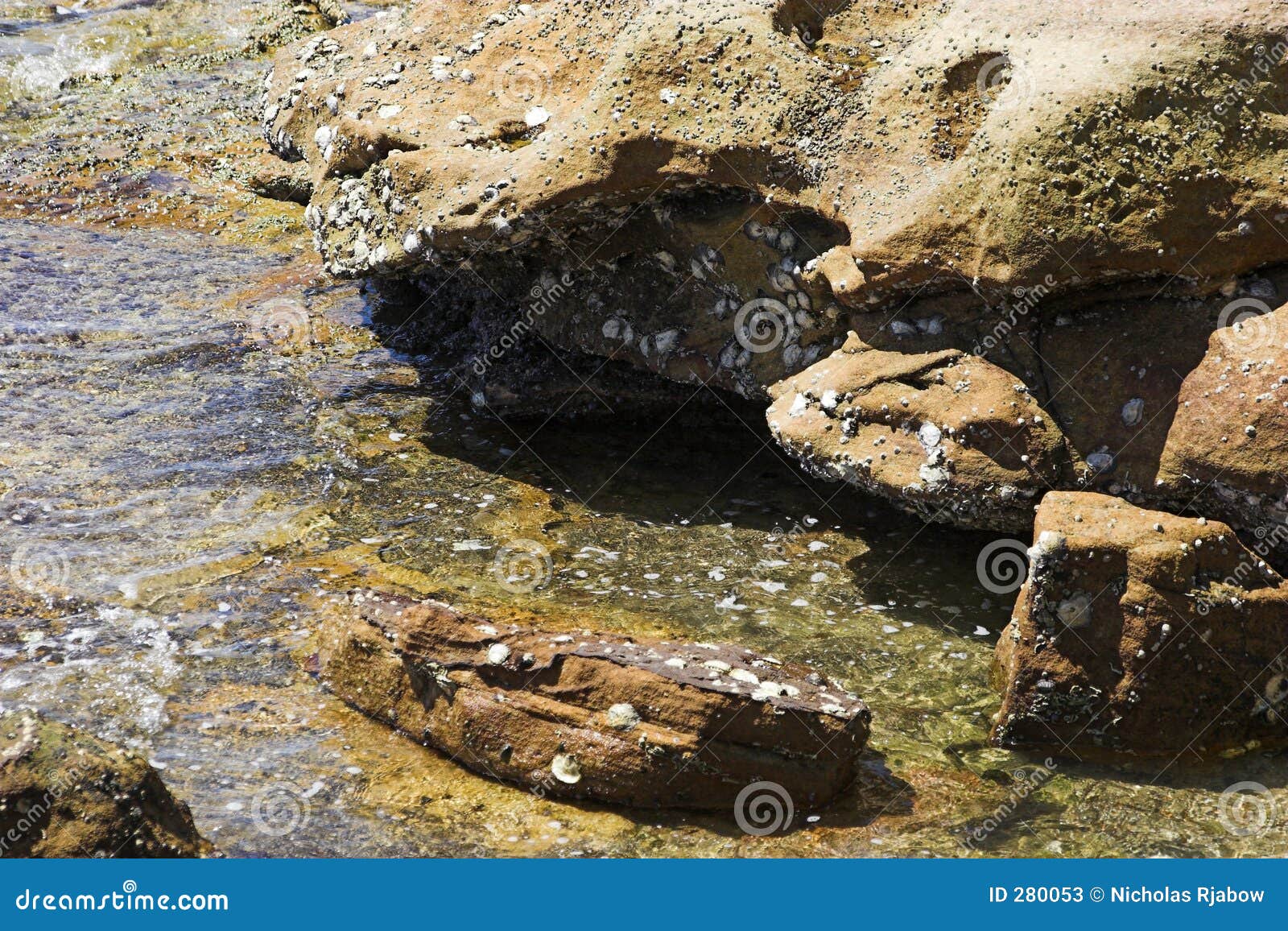 Sea Rocks stock image. Image of barnacles, encrusted, water - 280053