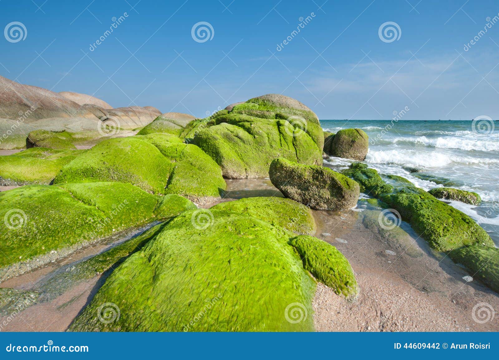 Sea Rocks Covered in Green Moss on the Coast Stock Photo - Image of ...