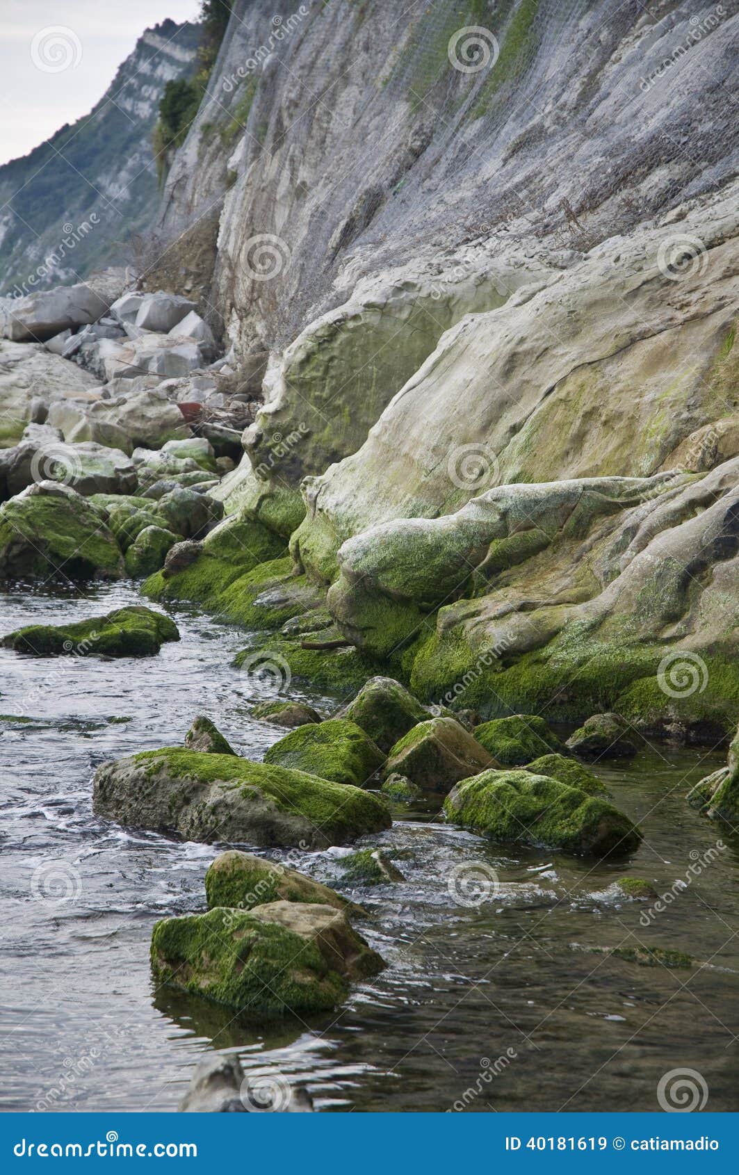 Sea rocks with green moss stock image. Image of moss - 40181619