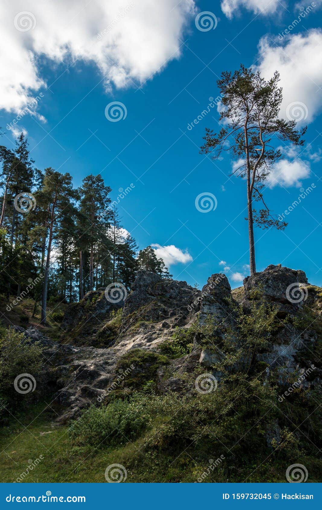 Sea of Rocks with Huge Rocks and High Trees Stock Image - Image of ...