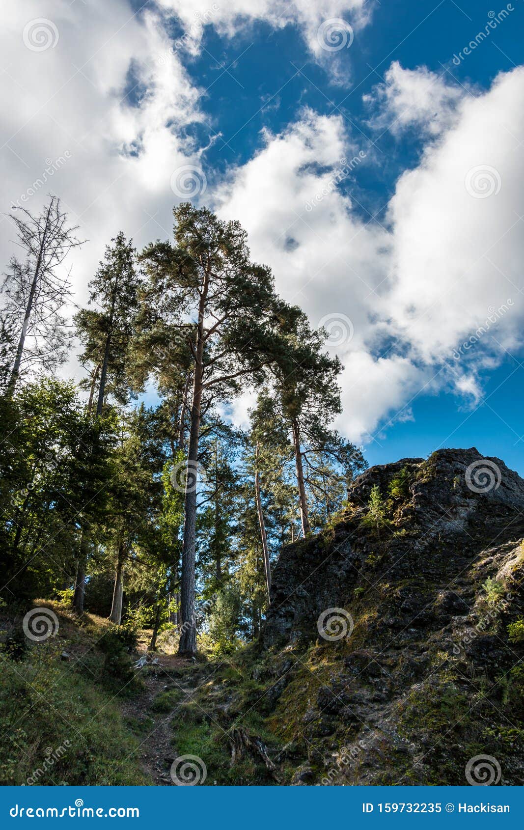 Sea of Rocks with Huge Rocks and High Trees Stock Image - Image of ...