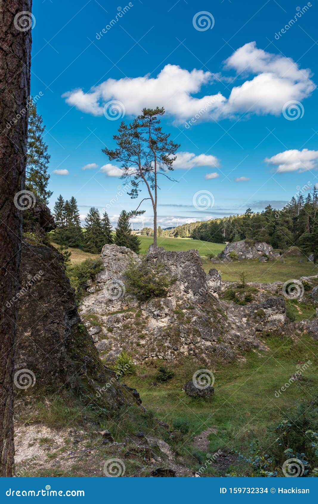 Sea of Rocks with Huge Rocks and High Trees Stock Photo - Image of sick ...