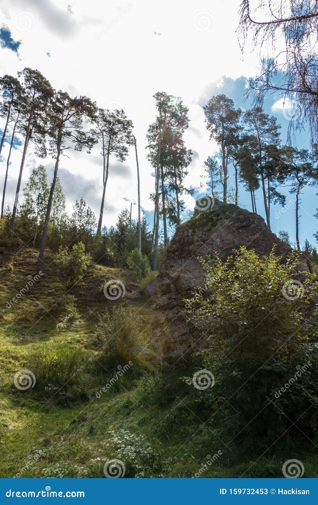 Sea Of Rocks With Huge Rocks And High Trees Royalty-Free Stock Photo ...