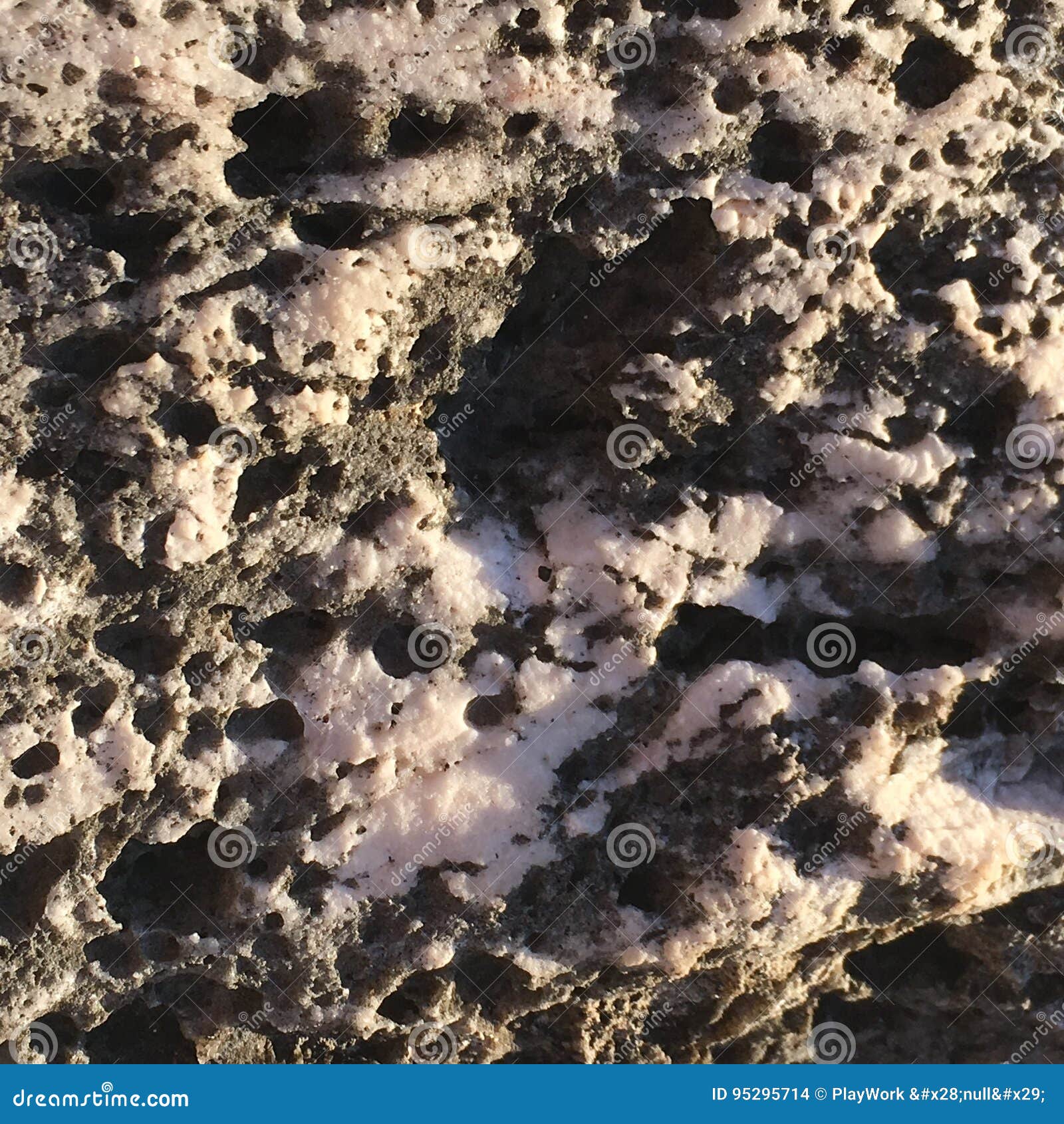 Sea rocks stock photo. Image of black, seaside, pebble - 95295714