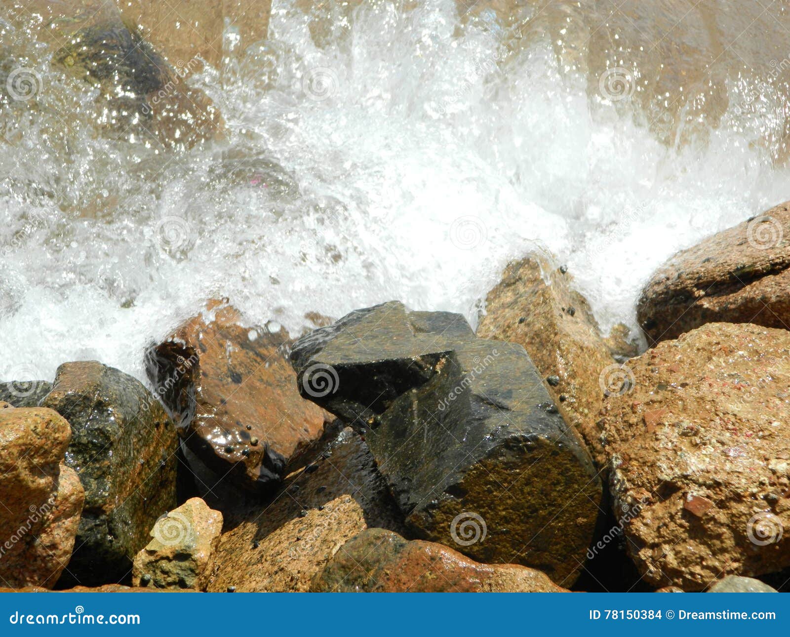 Sea and rocks stock photo. Image of egypt, calm, nature - 78150384