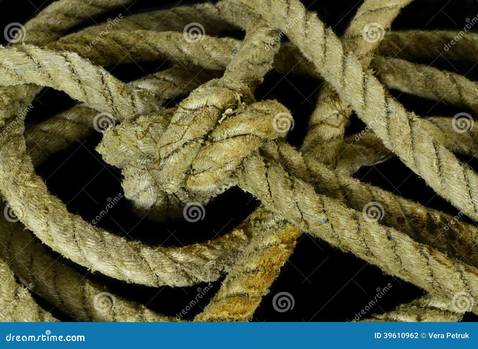 Sea rope knot on black stock photo. Image of bend, gibbet - 39610962