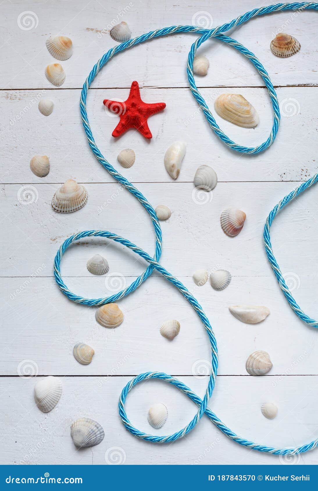 Sea Rope with Many Different Sea Shells on a Blue Wooden Background ...