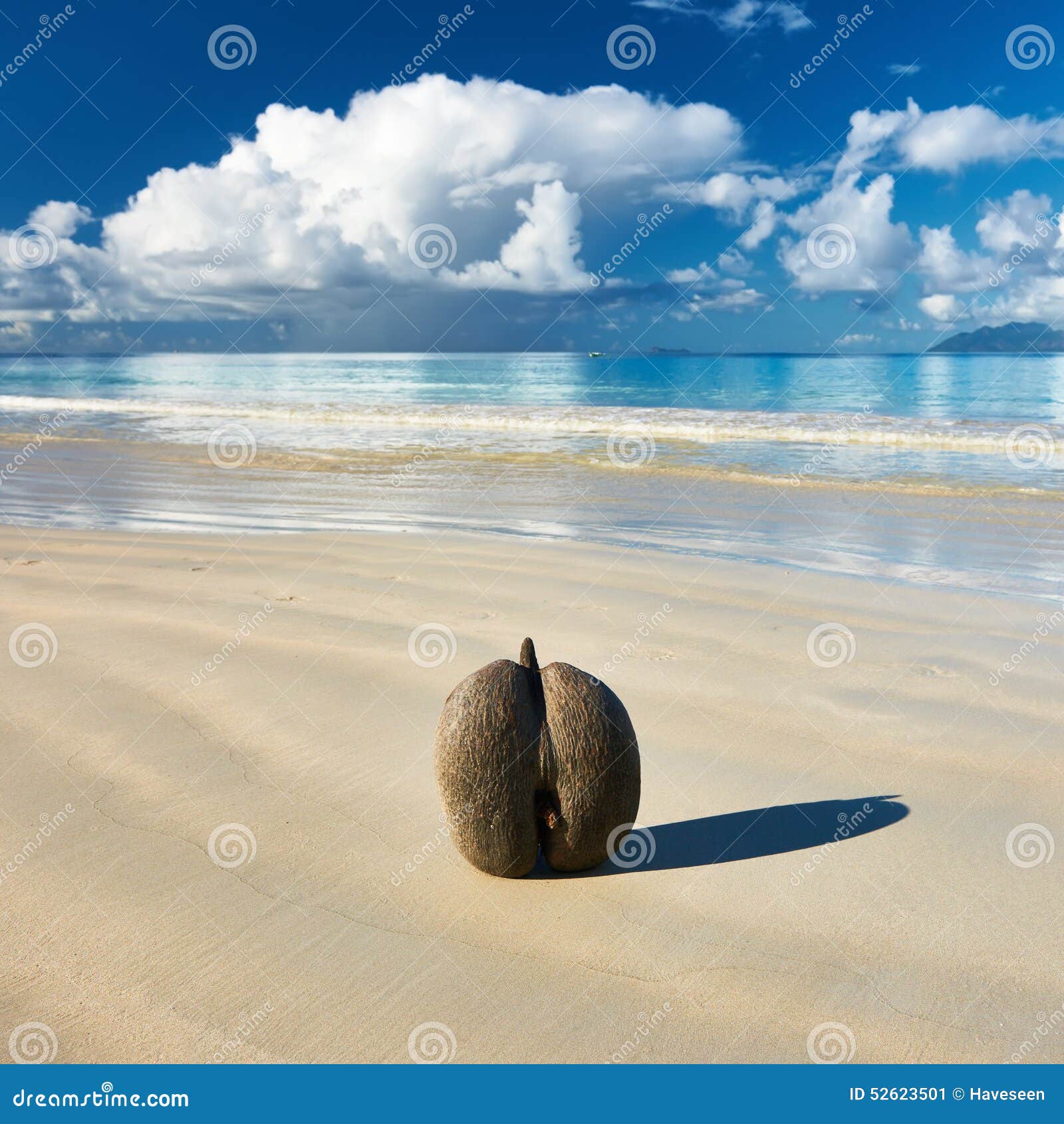 Sea S Coconuts (coco De Mer) on Beach at Seychelles Stock Image - Image ...