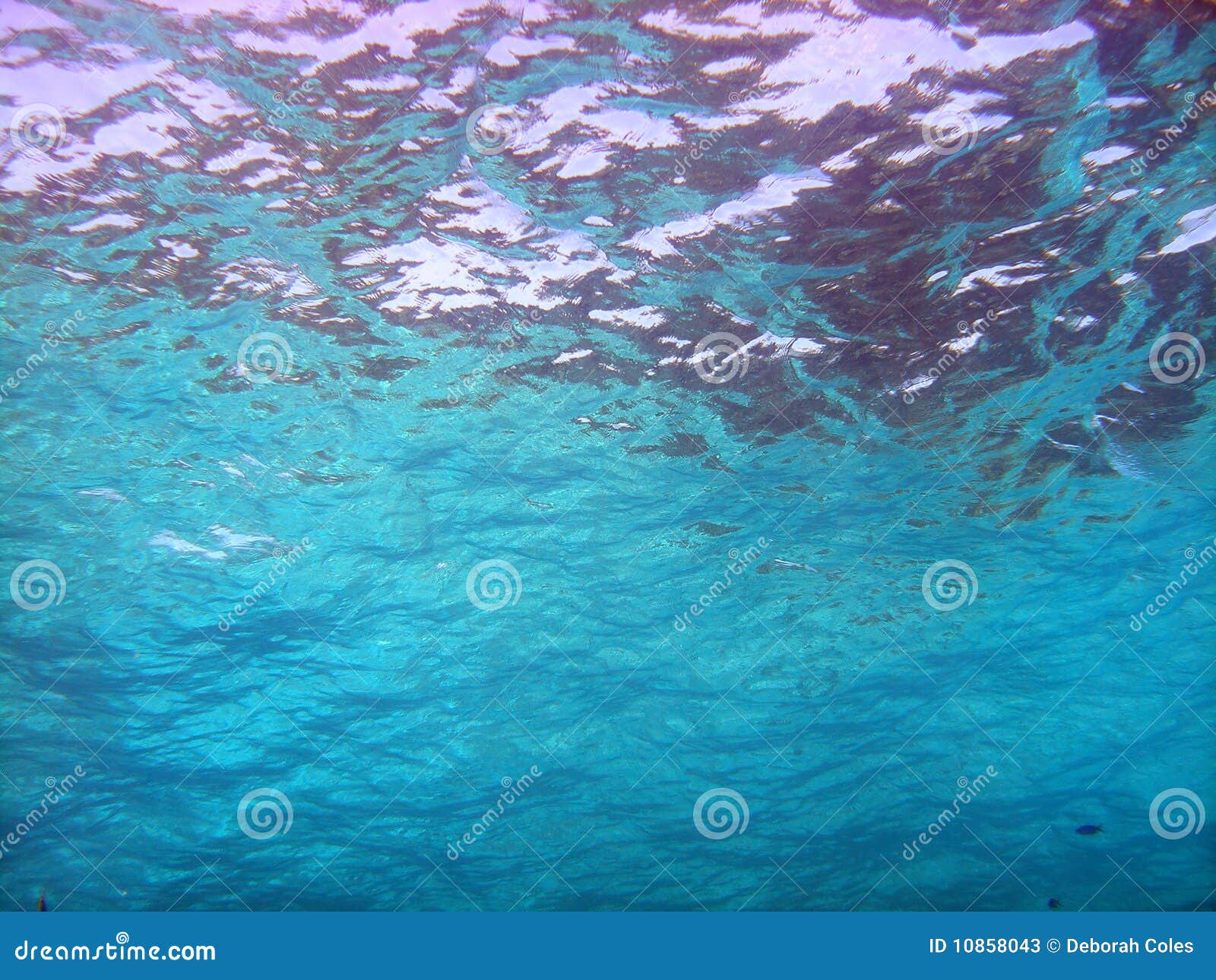 Sea s surface from below stock image. Image of bright - 10858043