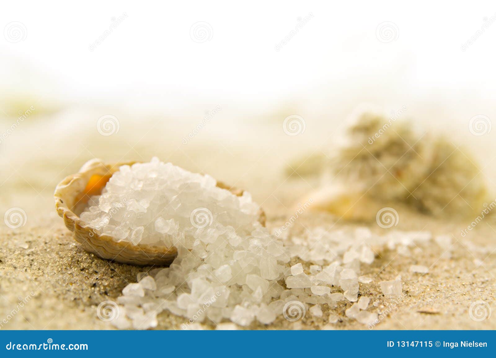Sea salt stock image. Image of ocean, detail, healthy - 13147115