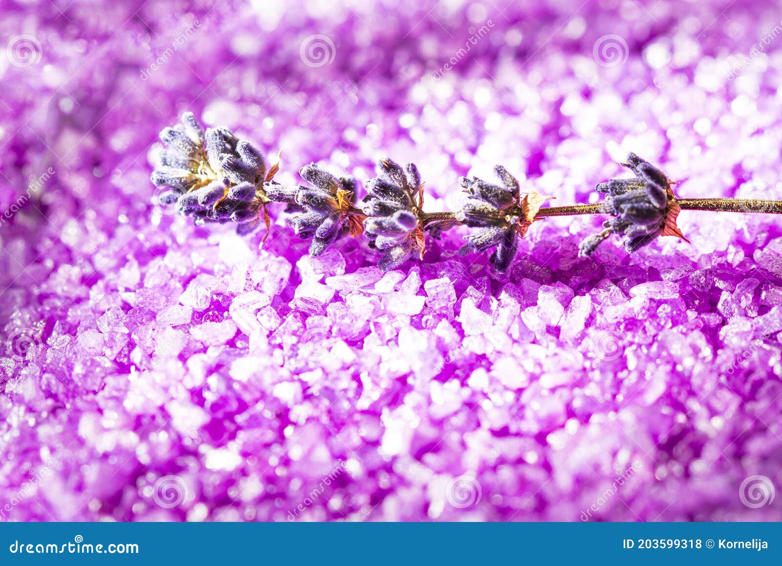 Sea salt background stock photo. Image of cristal, evening - 203599318