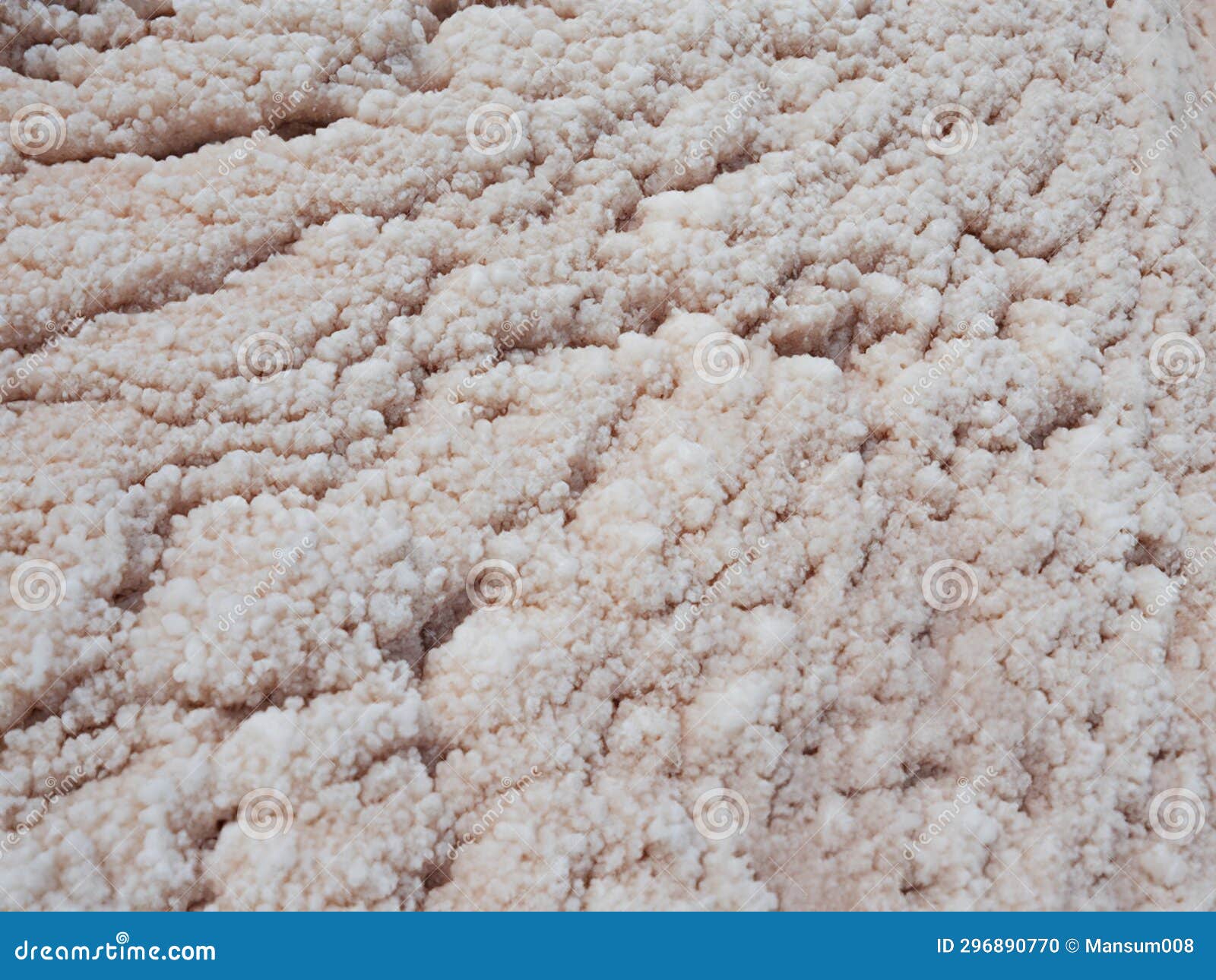 Sea salt on the beach stock photo. Image of healthy - 296890770