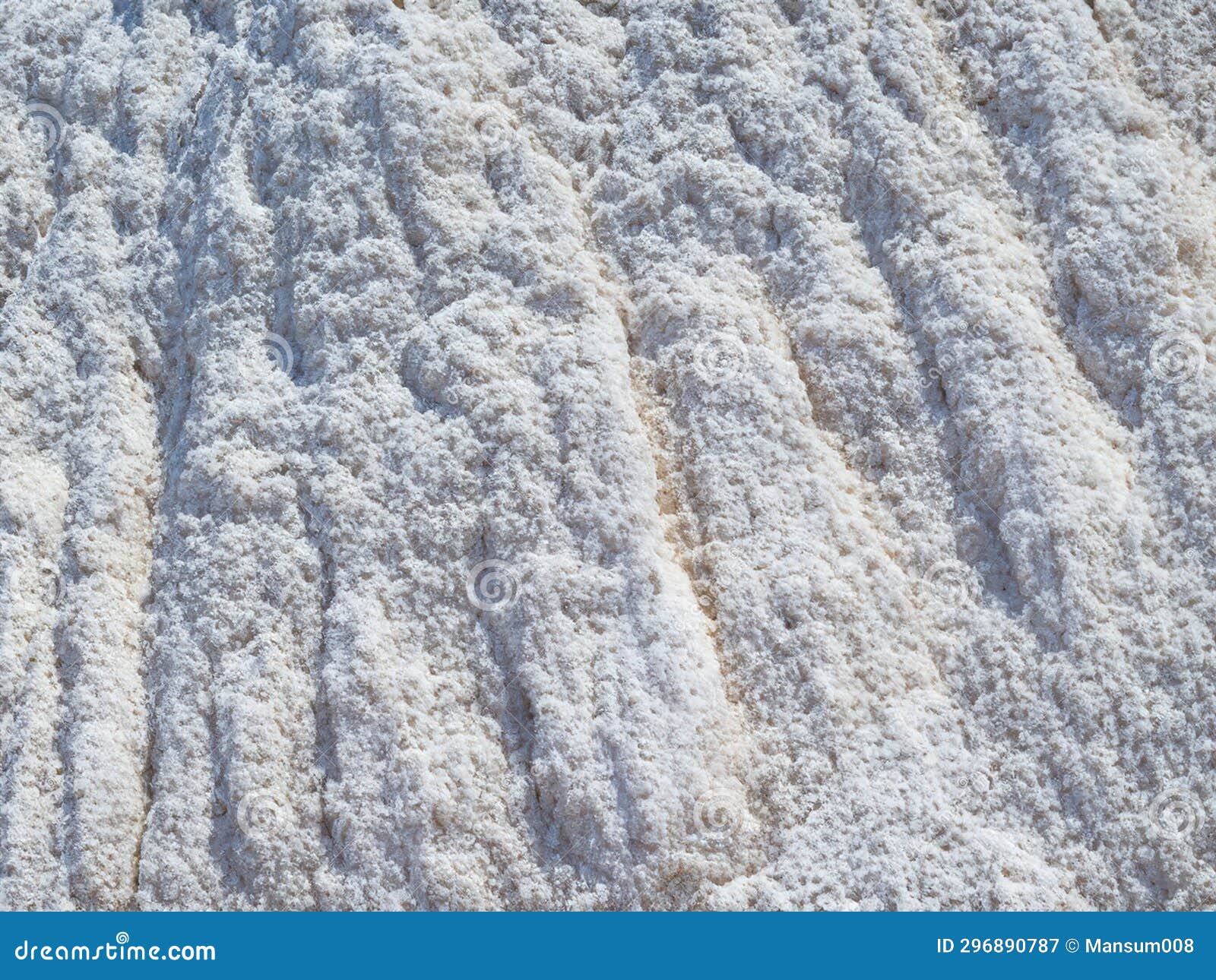 Sea salt on the beach stock image. Image of salt, food - 296890787