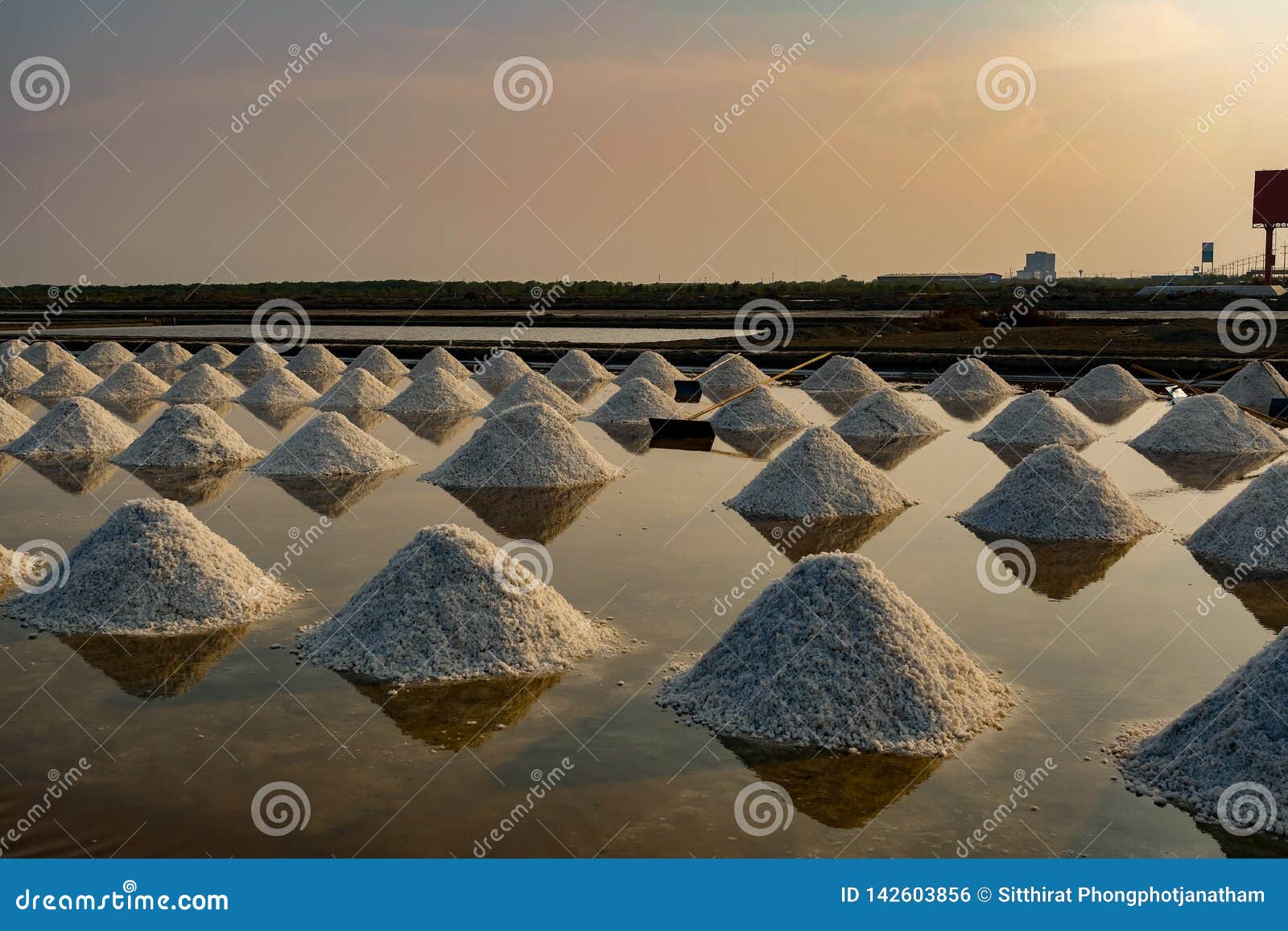 Sea salt field in Thailand stock photo. Image of evaporation - 142603856